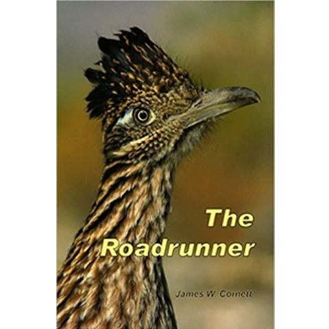 The Roadrunner – Palm Springs Historical Society